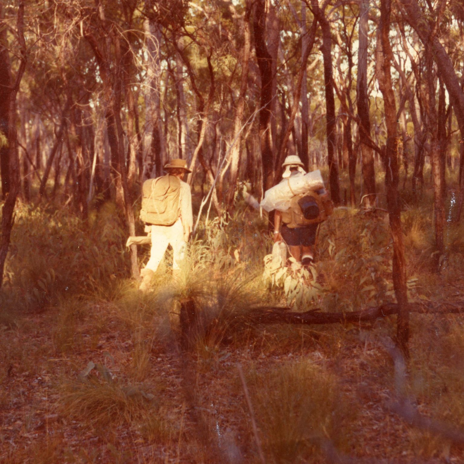 Percy Trezise - Cairns Museum