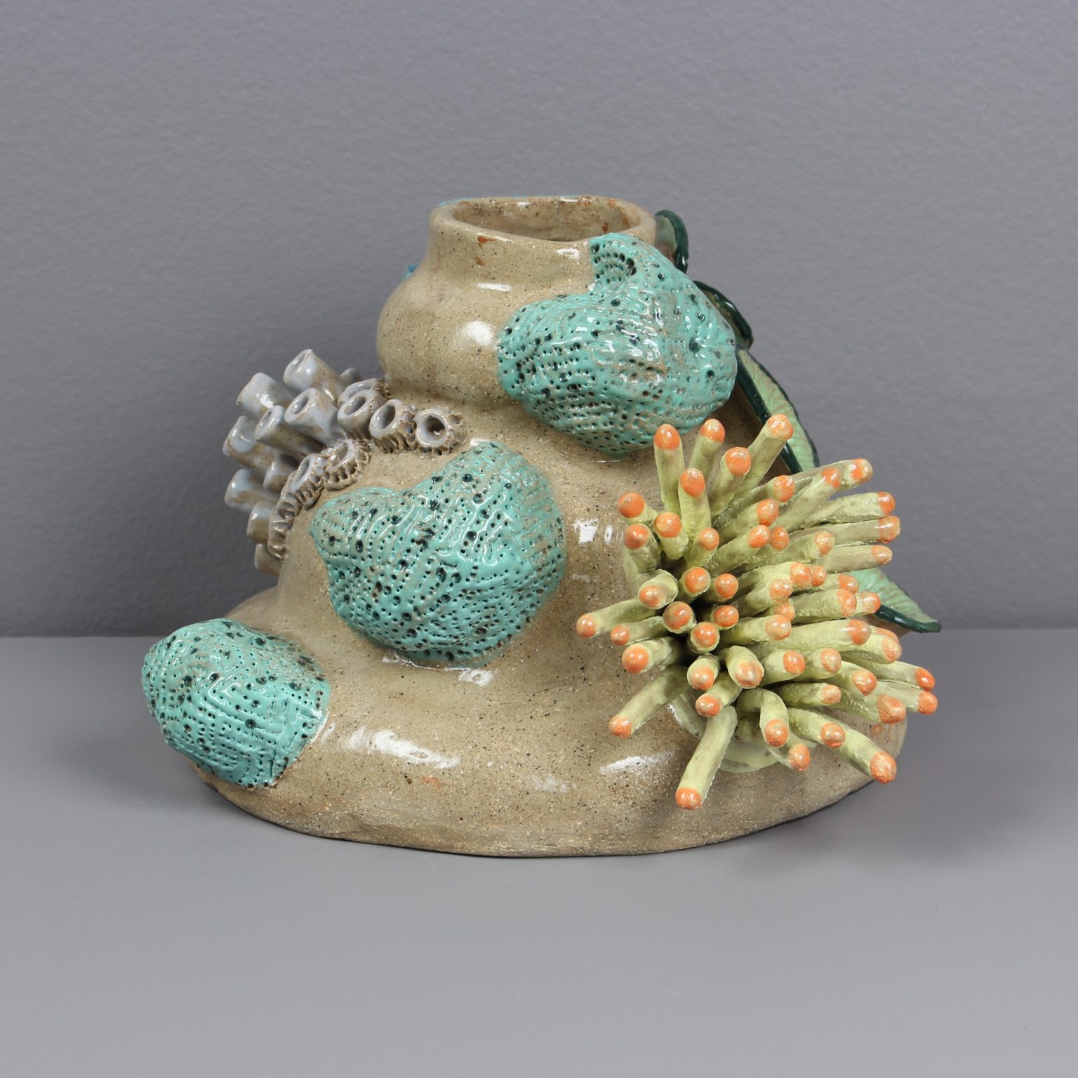 Still Life Comes Alive – Cairns Museum